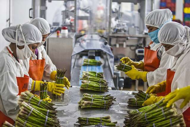 Agro processing In Africa AMENA AFRICA Agro processing In Africa AMENA AFRICA